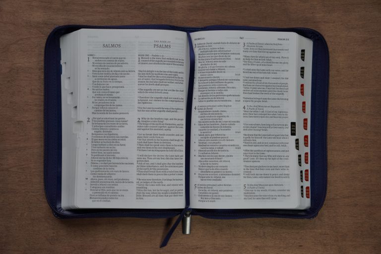 Biblia Bilingue Tamaño Personal RVR 1960 Azul Marino, Símil Piel Con ...